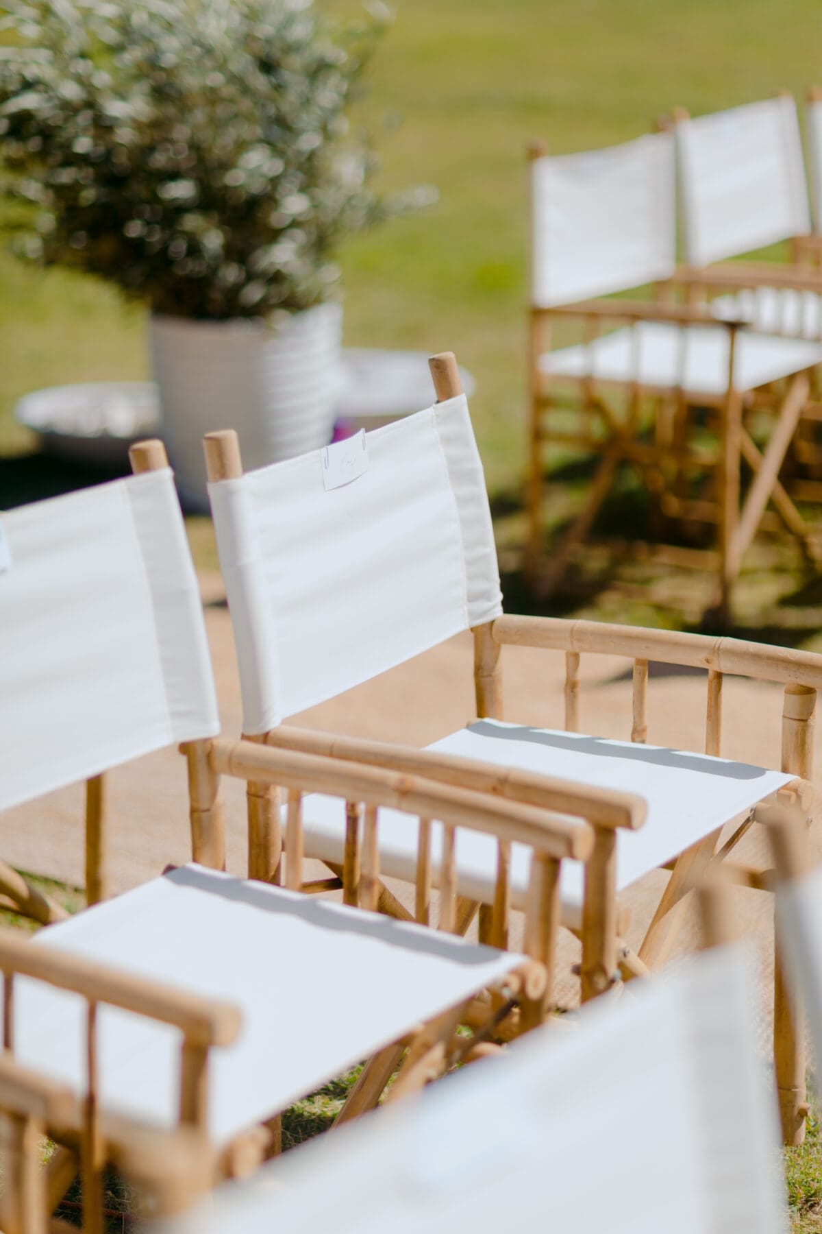 Hire Collection | Little Lane Events